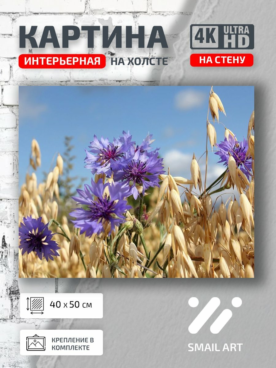 Картина на холсте интерьерная 40 на 50 на стену Лето Landscape для гостиной пейзаж интерьер