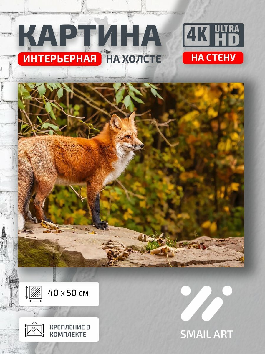 Картина на холсте интерьерная 40 на 50 на стену Лис fox для офиса пейзаж интерьер декор