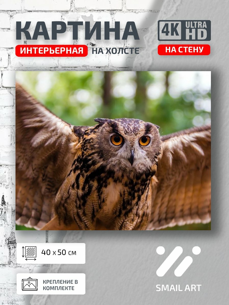 Картина на холсте интерьерная 40 на 50 на стену Размах Animal для кафе animal style декор