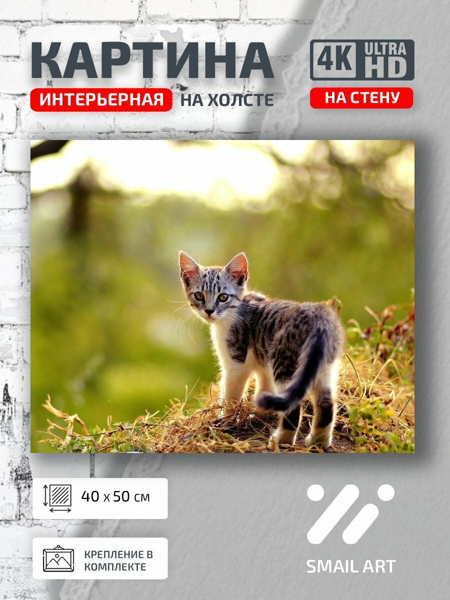 Картина на холсте интерьерная 40 на 50 на стену Травке Animal для кафе animal style декор