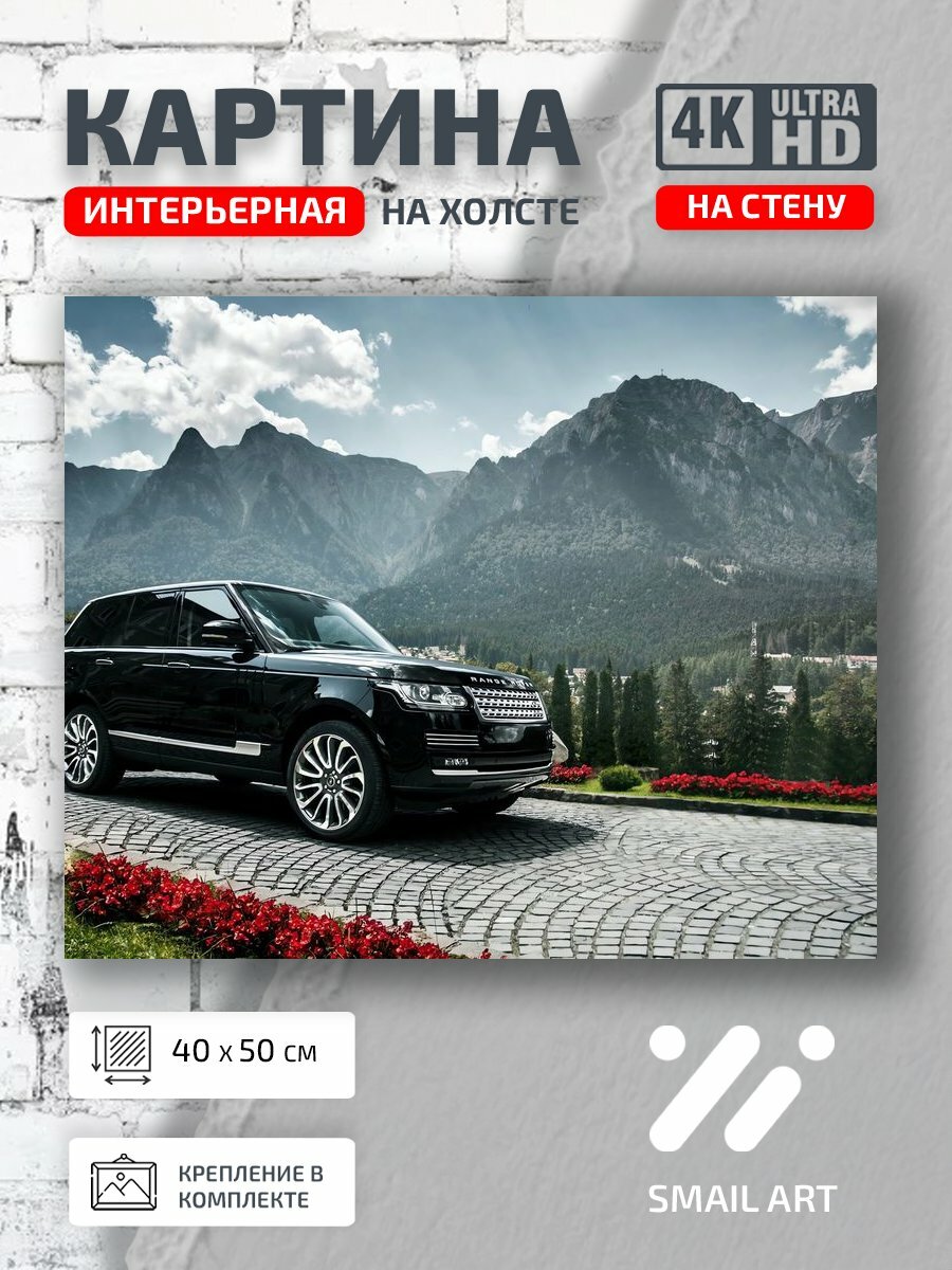Картина на холсте интерьерная 40 на 50 на стену Автомобиль rover для студии авто дизайн