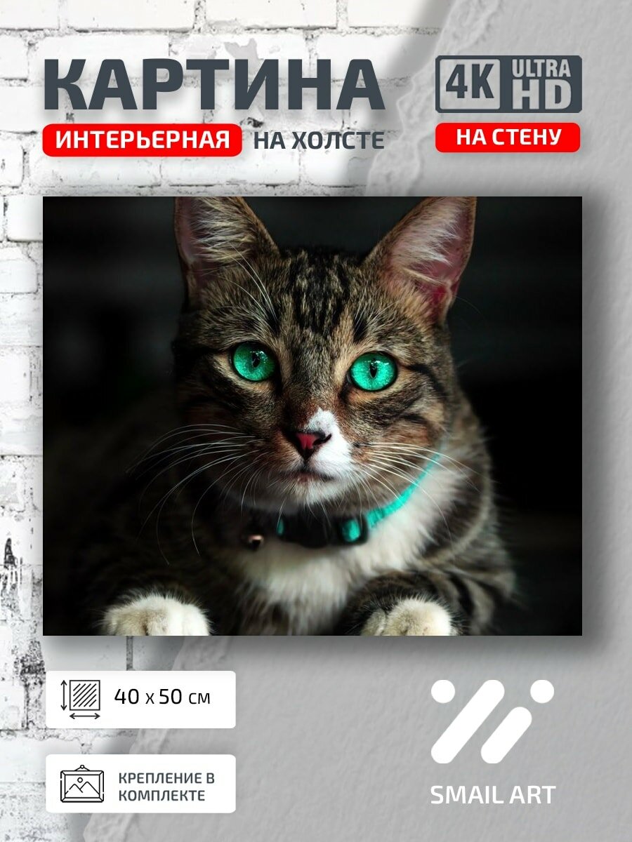Картина на холсте интерьерная 40 на 50 на стену Животные кот для кабинета атмосфера