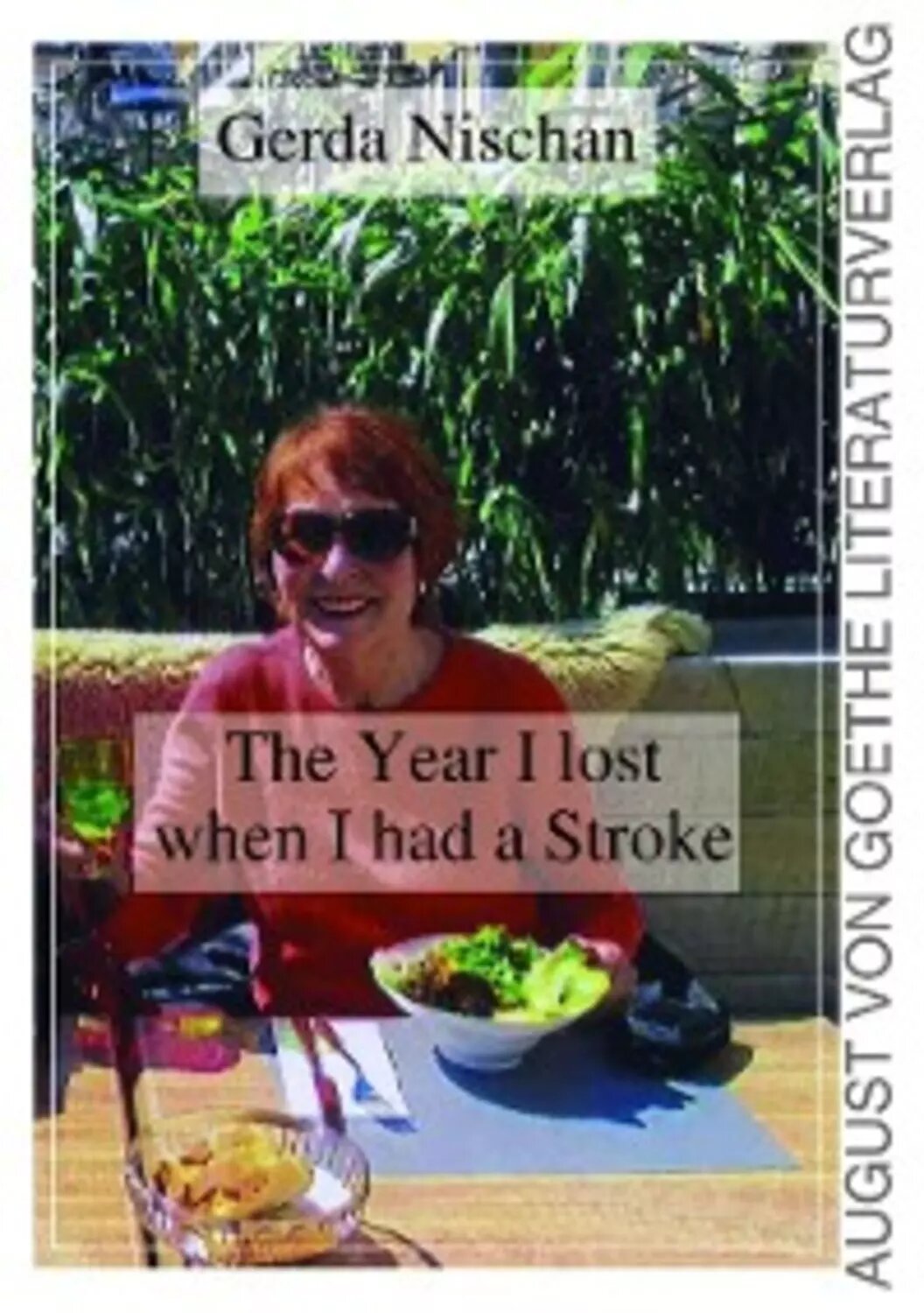 The Year I lost when I had a Stroke [Цифровая книга]