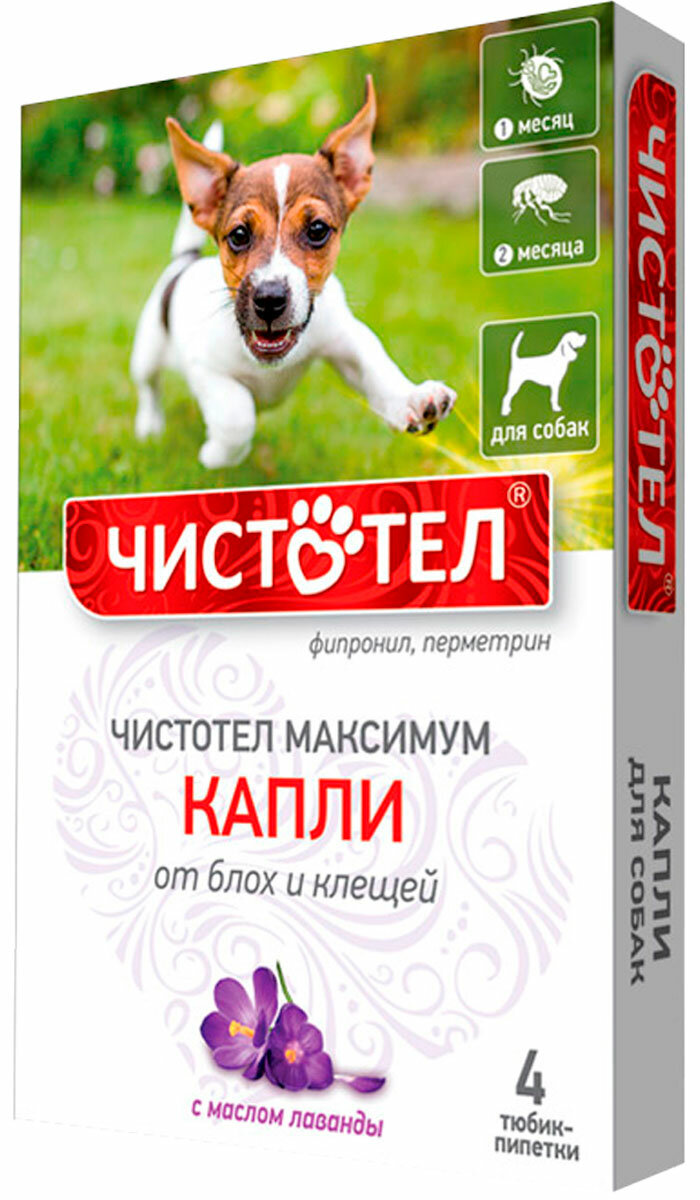 Чистотел максимум капли для собак против блох и клещей уп. 4 пипетки (1 шт)