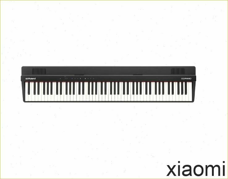 Roland GO-88PX Портативное цифровое пианино Roland GO88PX