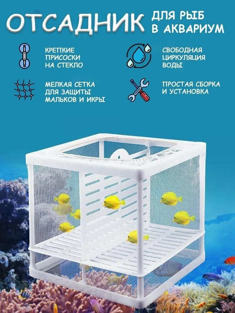 Родильня для рыб/Отсадник для мальков в аквариум/Инкубатор для разведения рыбы с перегородкой 16х14х15 см.