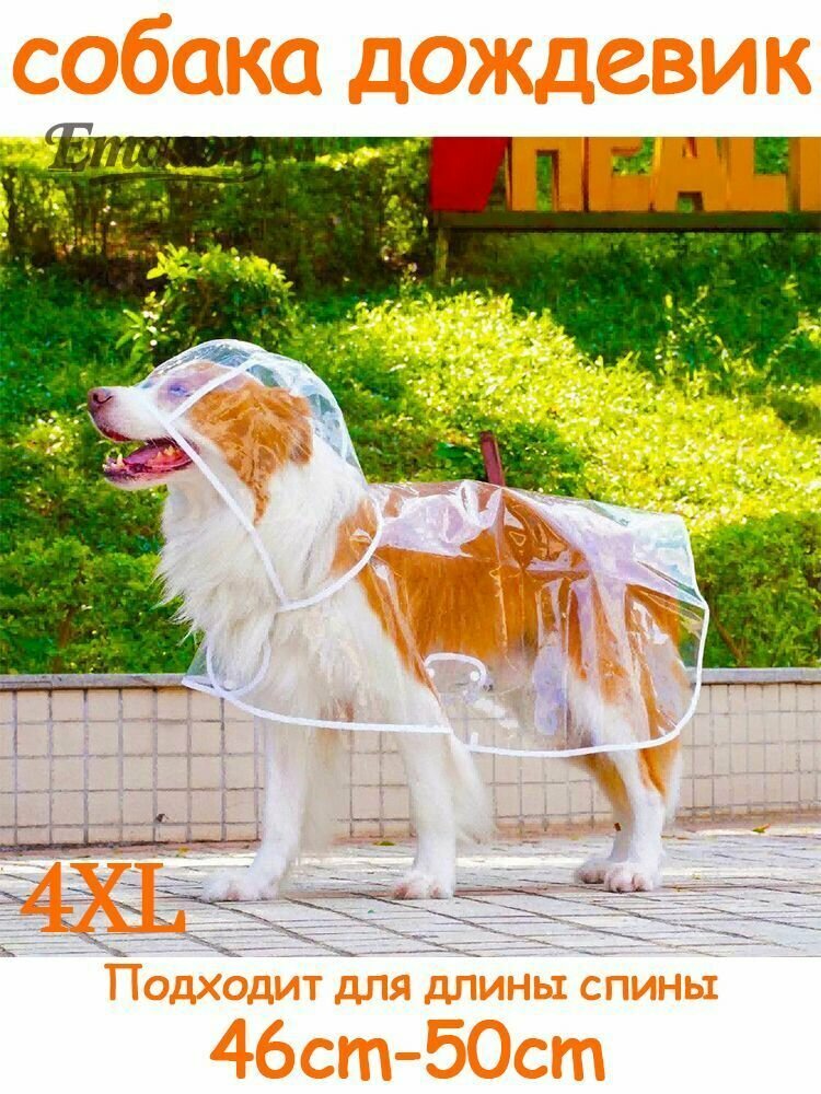 Прозрачный дождевик для собак 4XL