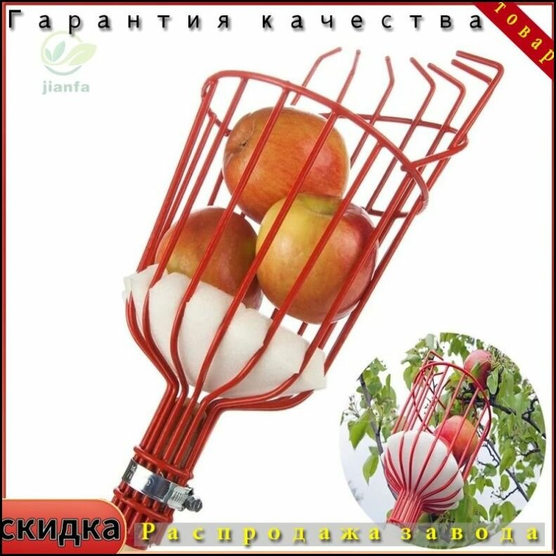 Уникальный плодосъемник с металлической корзиной 145 мм внутренний диаметр, без стержня, габариты 14.5x14.5x34 см