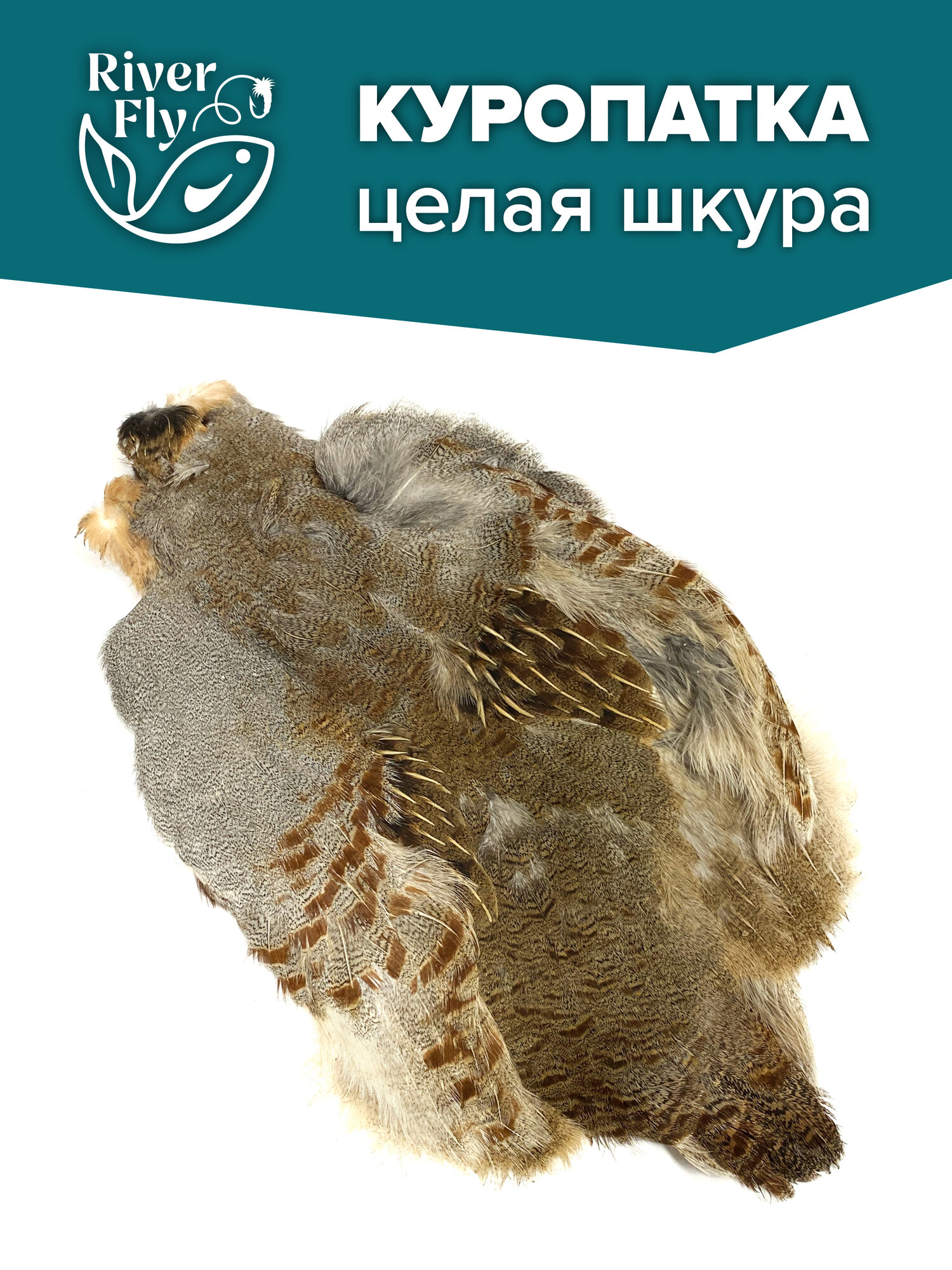Шкура куропатки (цельная) для вязания нахлыстовых рыболовных мушек