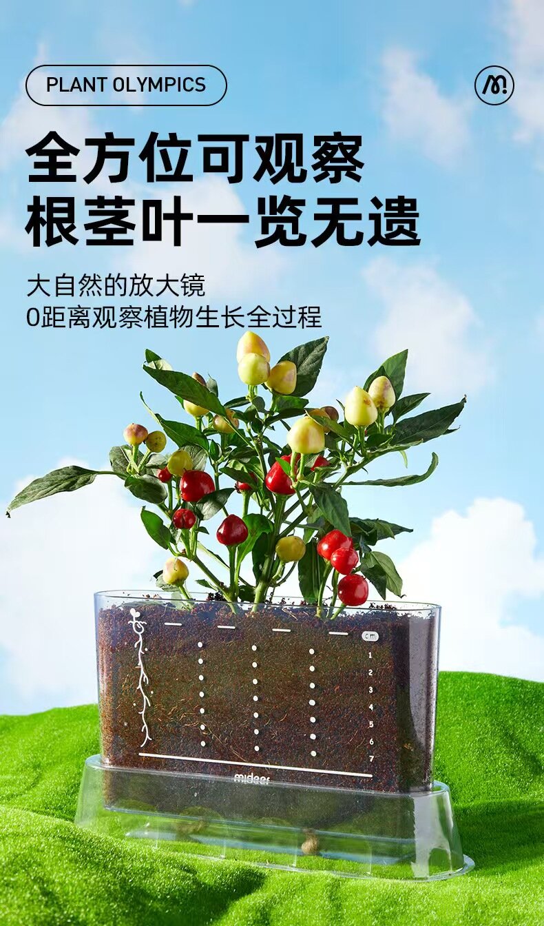 Mideer Милю коробка для наблюдения за растением（ Популярные товары для родителей и детей）