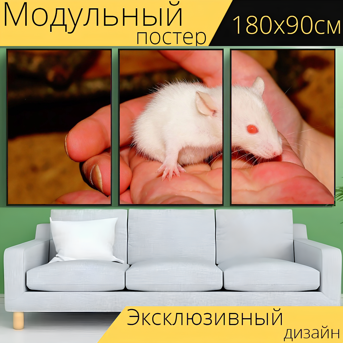 Модульный постер "Крыса, крысиный детеныш, тревожно" 180 x 90 см. для интерьера на стену в тубусе