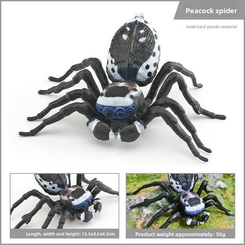 Модель паука с статичной позой для тематических вечеринок и образовательных целей стиль 19