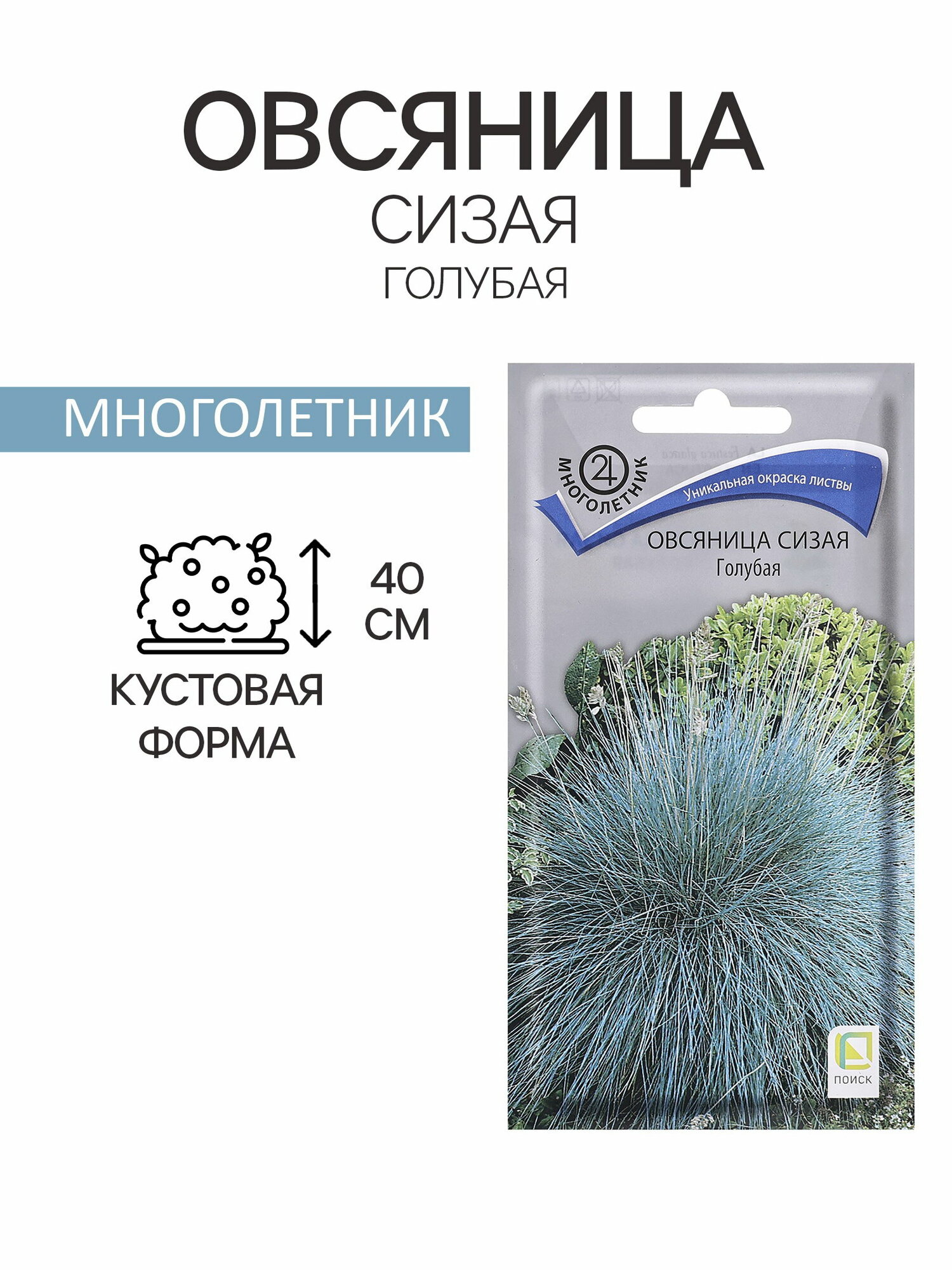Семена цветов Овсяница "Сизая", Голубая, 0.1гр, место выращивания: открытый грунт, 3 шт.