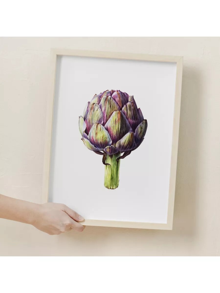 Артишок постер для кухни