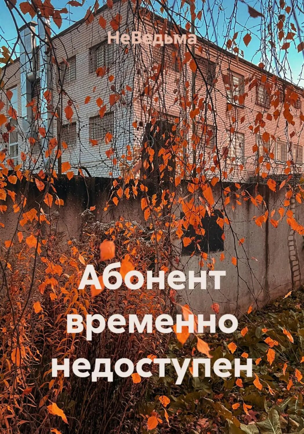 Абонент временно недоступен [Цифровая книга]