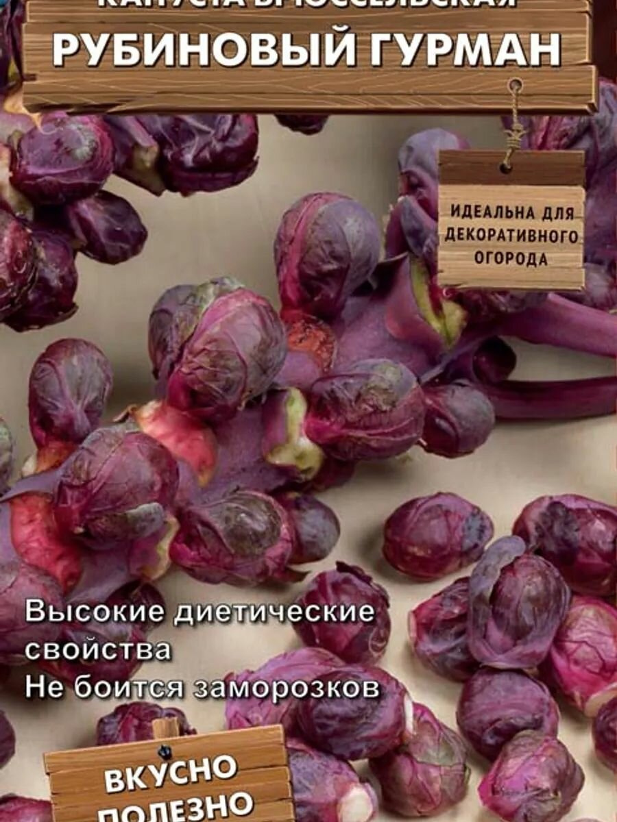 Брюссельская капуста Рубиновый гурман 0,1 г, Семена Поиск