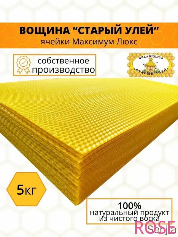 Вощина