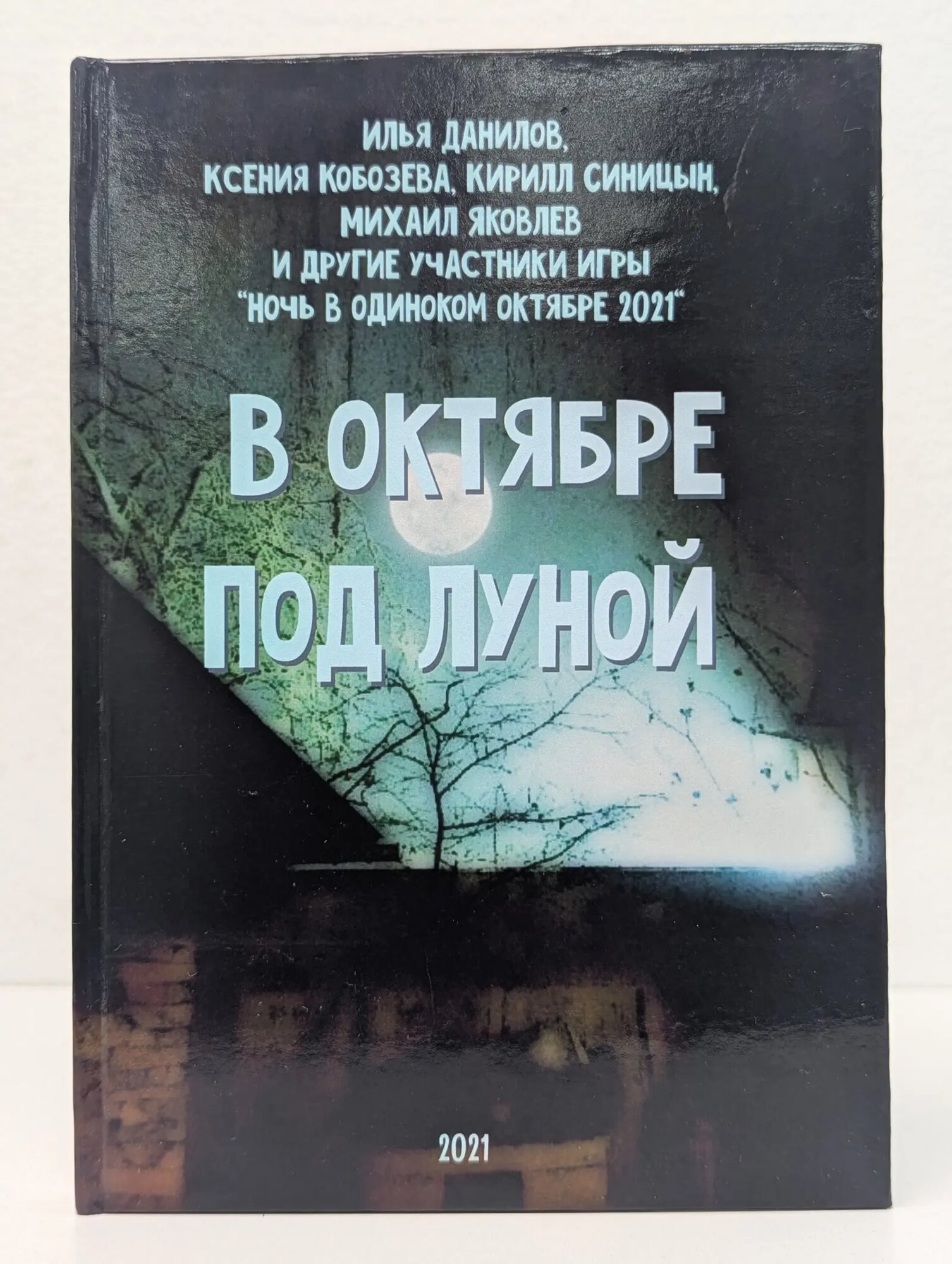 В октябре под луной Данилов Илья, Кобозева Ксения, Синицын Кирилл 2021
