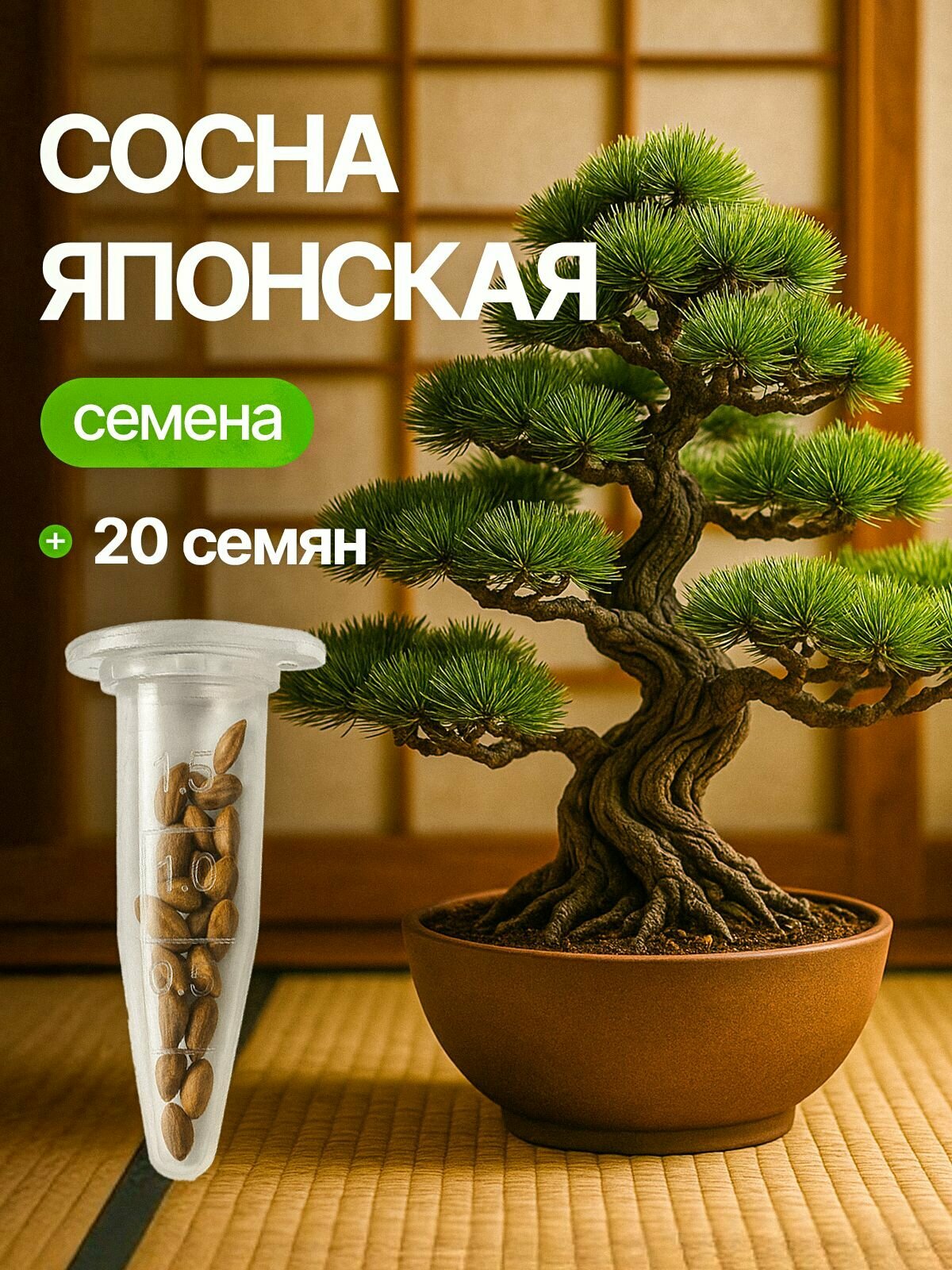 Семена бонсай Сосна японская круглогодично 20шт. Про Растения