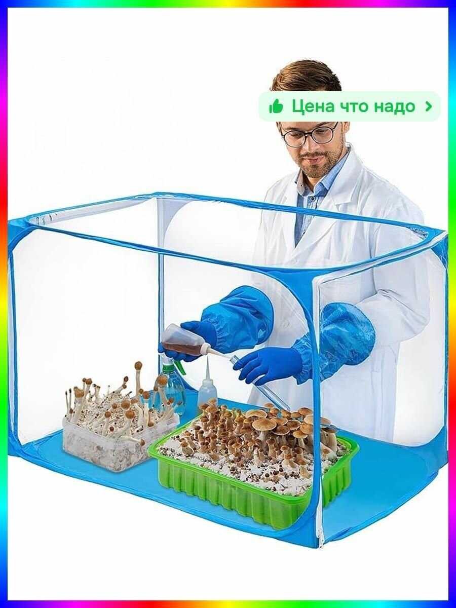 Гроубокс для микробиологии с перчатками и защитным корпусом-Камера