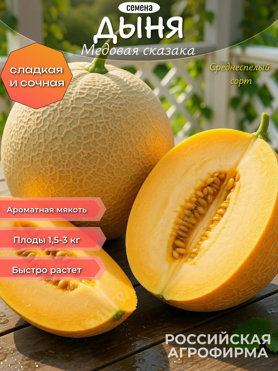 Семена Дыня Медовая сказка