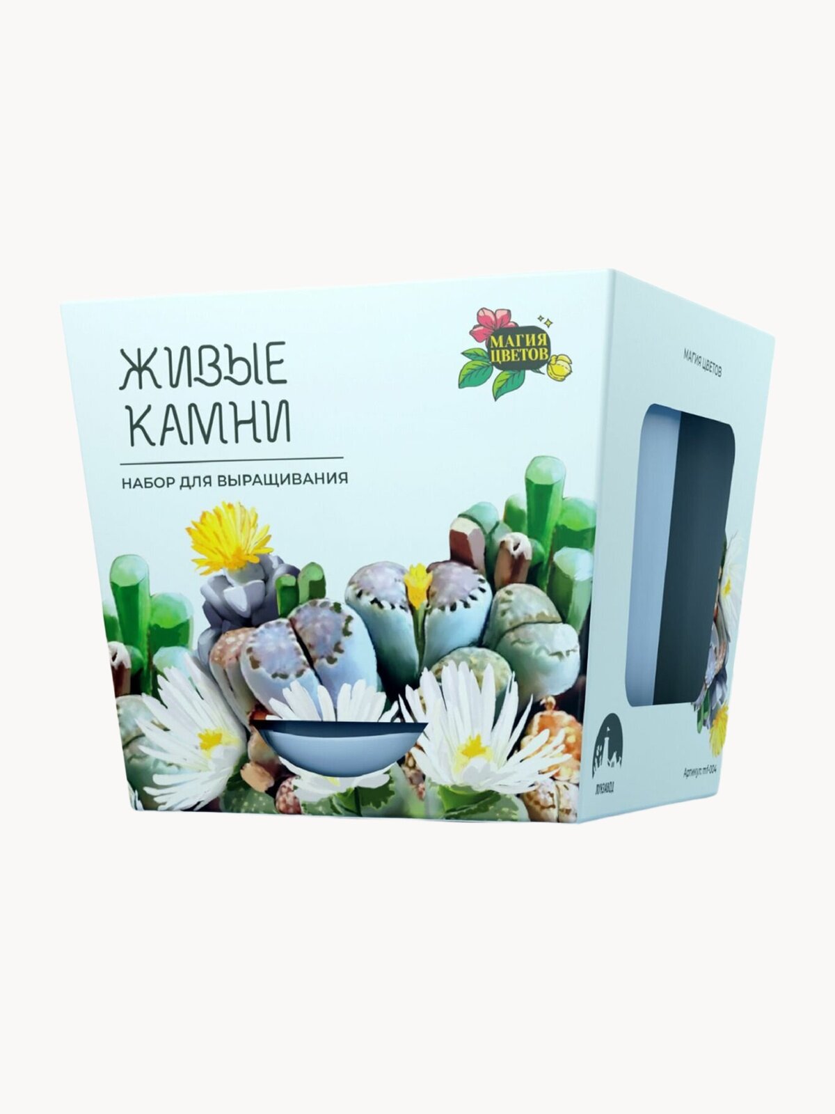 Набор для выращивания растений Магия цветов "Живые камни Литопсы" (горшок, грунт, семена) (mf-004)