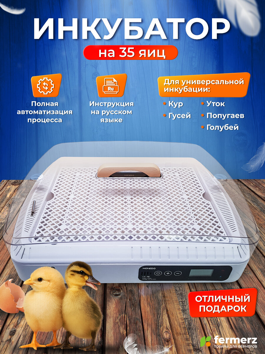 Инкубатор JJC-35 на 35 яиц, автоматический интеллектуальный переворот