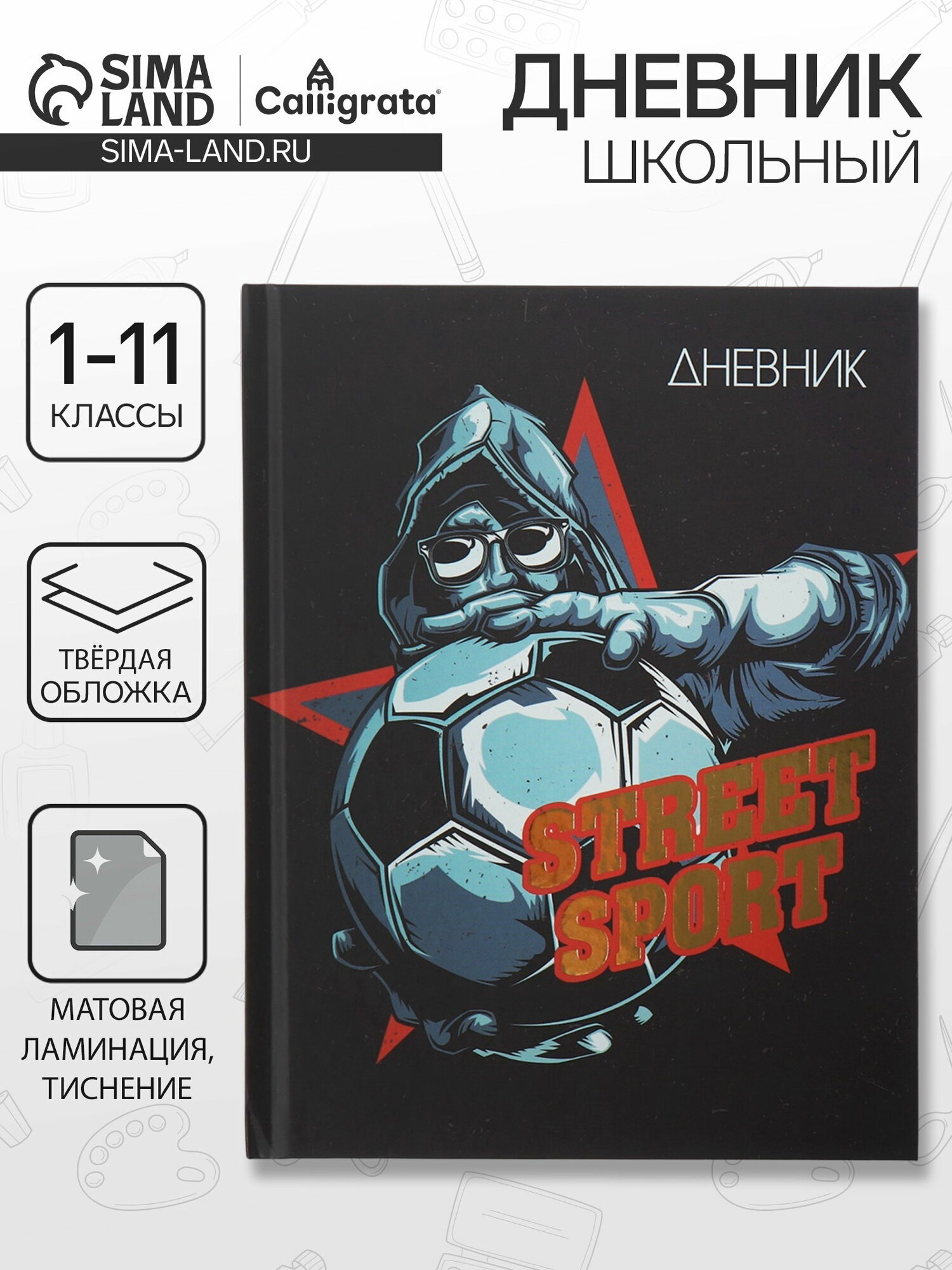 Дневник школьный для 1-11 классов, Street Sport, твёрдая обложка 7БЦ, матовая ламинация, тиснение фольгой, 40 листов