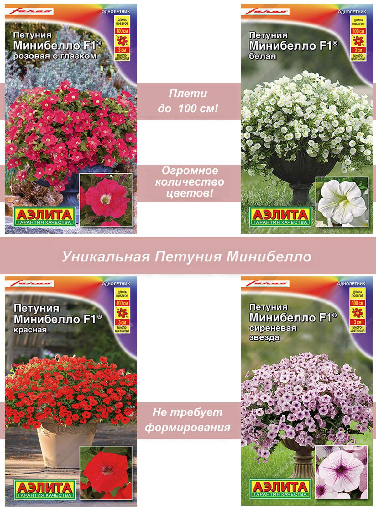 Семена однолетних цветов ампельная многоцветковая Петуния Минибелло