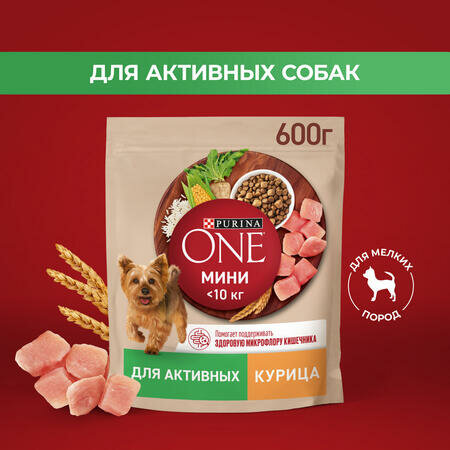 PURINA ONE® мини 3 кг сухой корм для взрослых собак мелких и карликовых пород при активном образе жизни с курицей и рисом