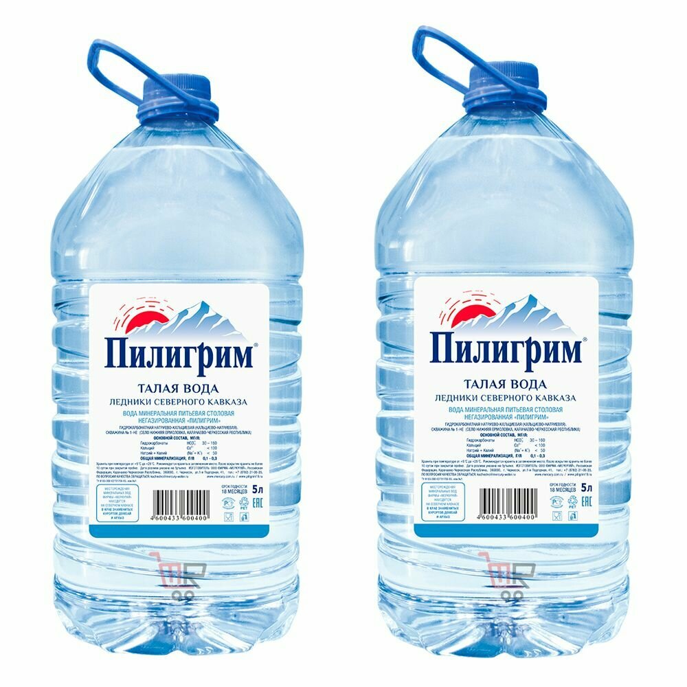 Минеральная вода "Пилигрим" негазированная 5,0 л, 2 шт.