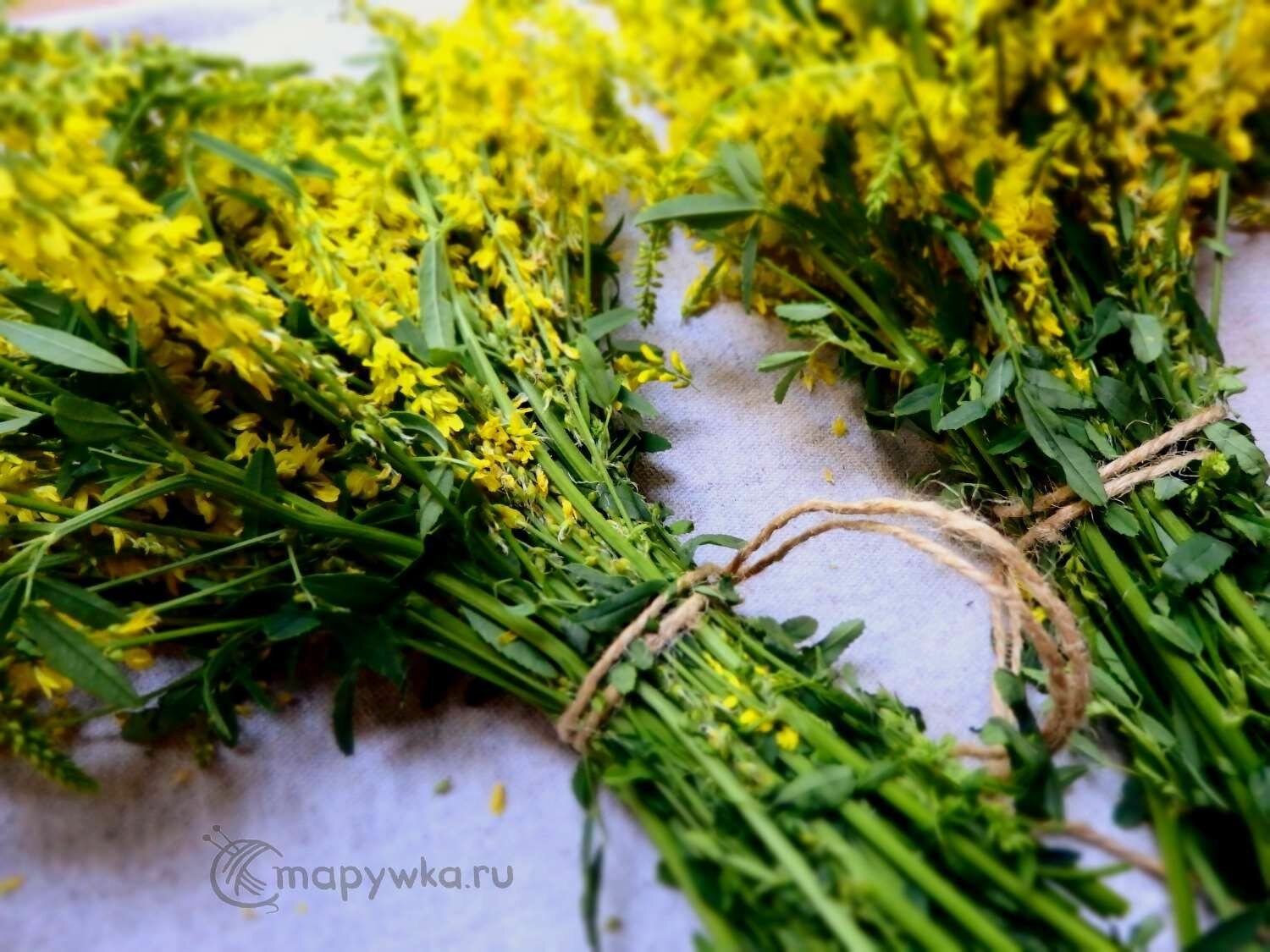 Донник лекарственный желтый сушеный листья и цветы, Урожай 2025г, 50гр.