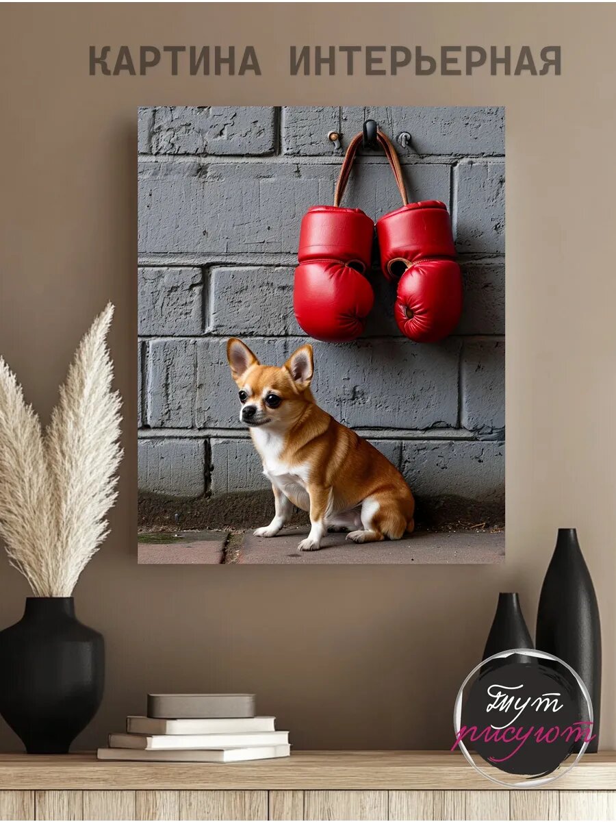Картина интерьерная , Постер "Чихуахуа", на подрамнике, холст, 40x50 см