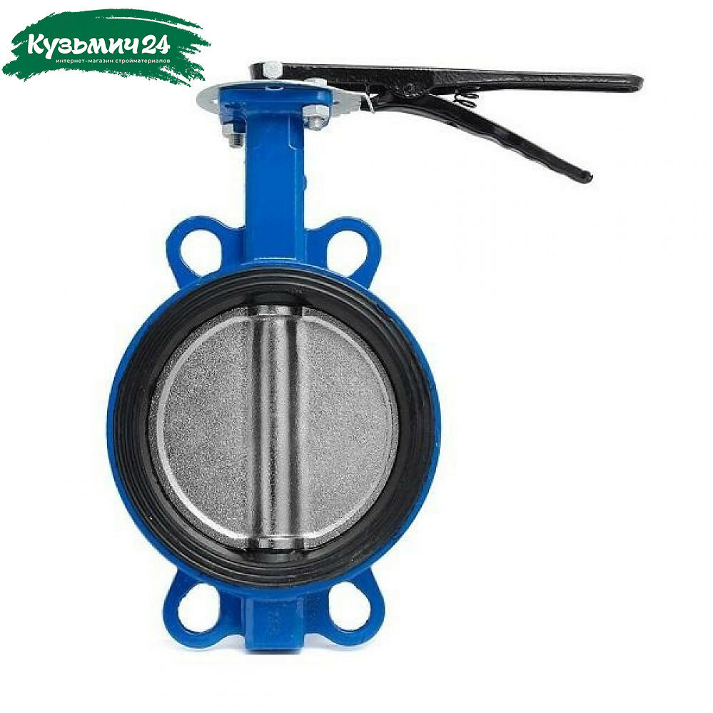 Затвор чугунный с диском из чугуна Ду=125