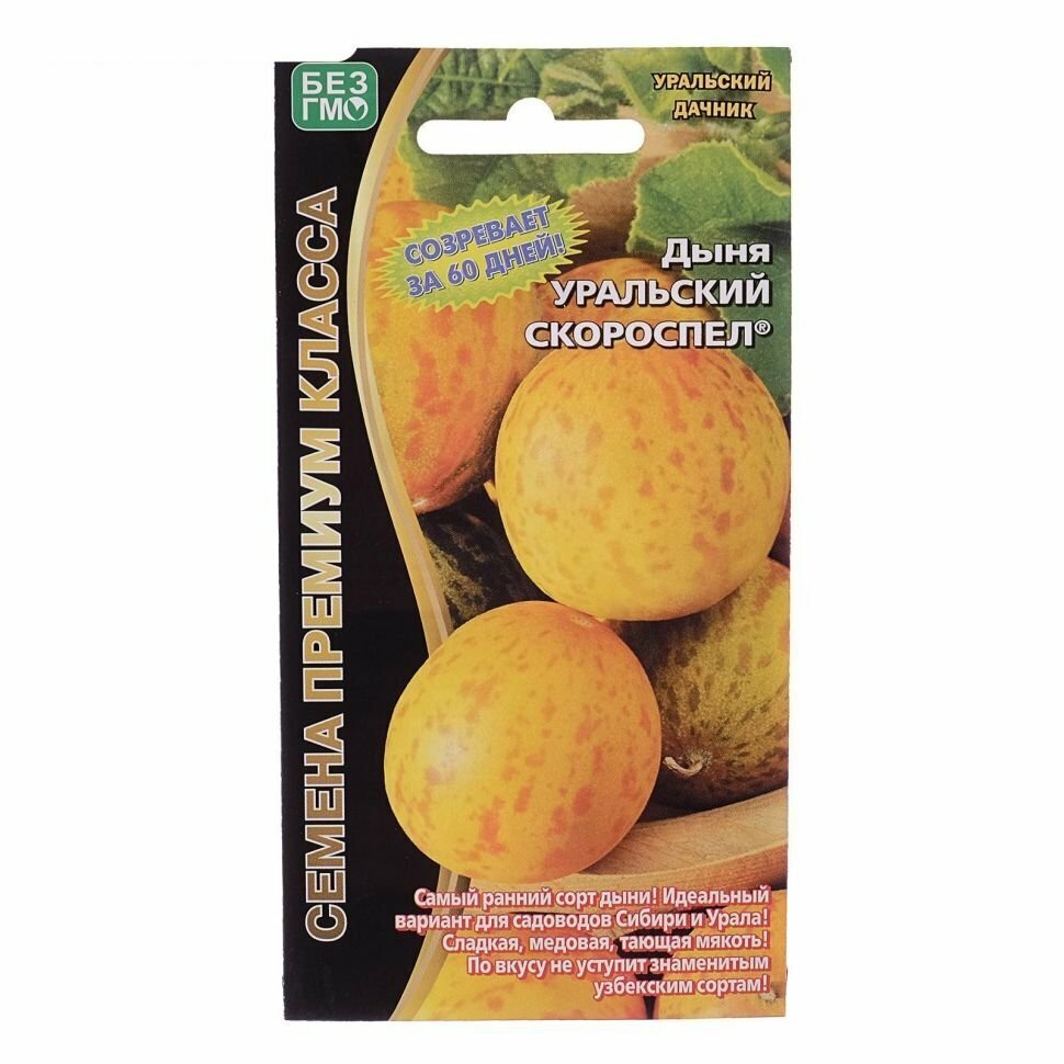 Семена Дыня Уральский скороспел Уральский Дачник