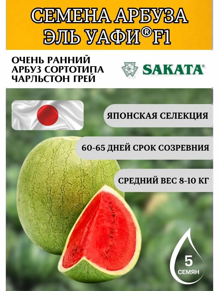 Арбуз Эль Уафи 5 семян, профессиональные семена