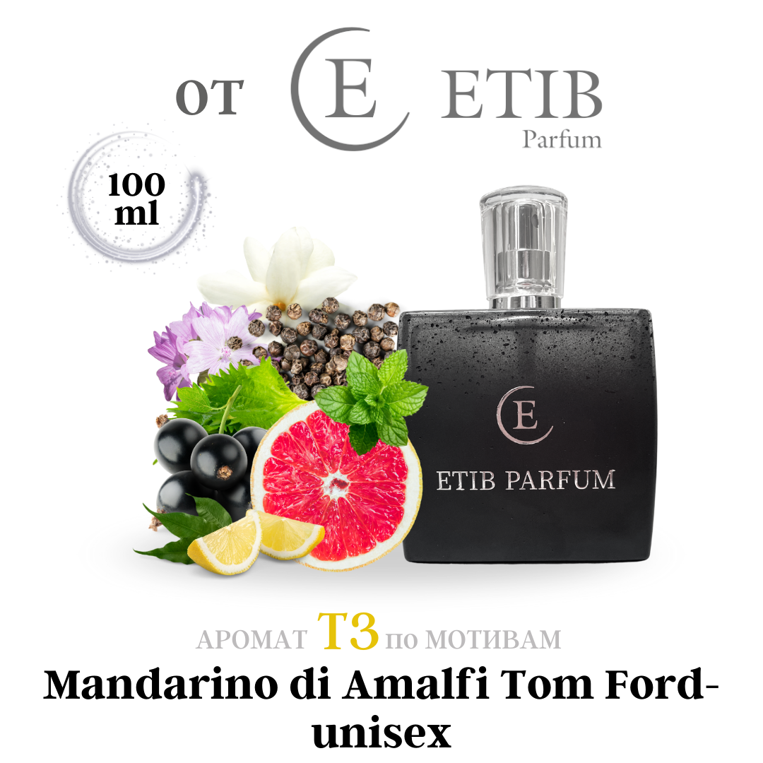 Духи ETIB Parfum T3 100мл