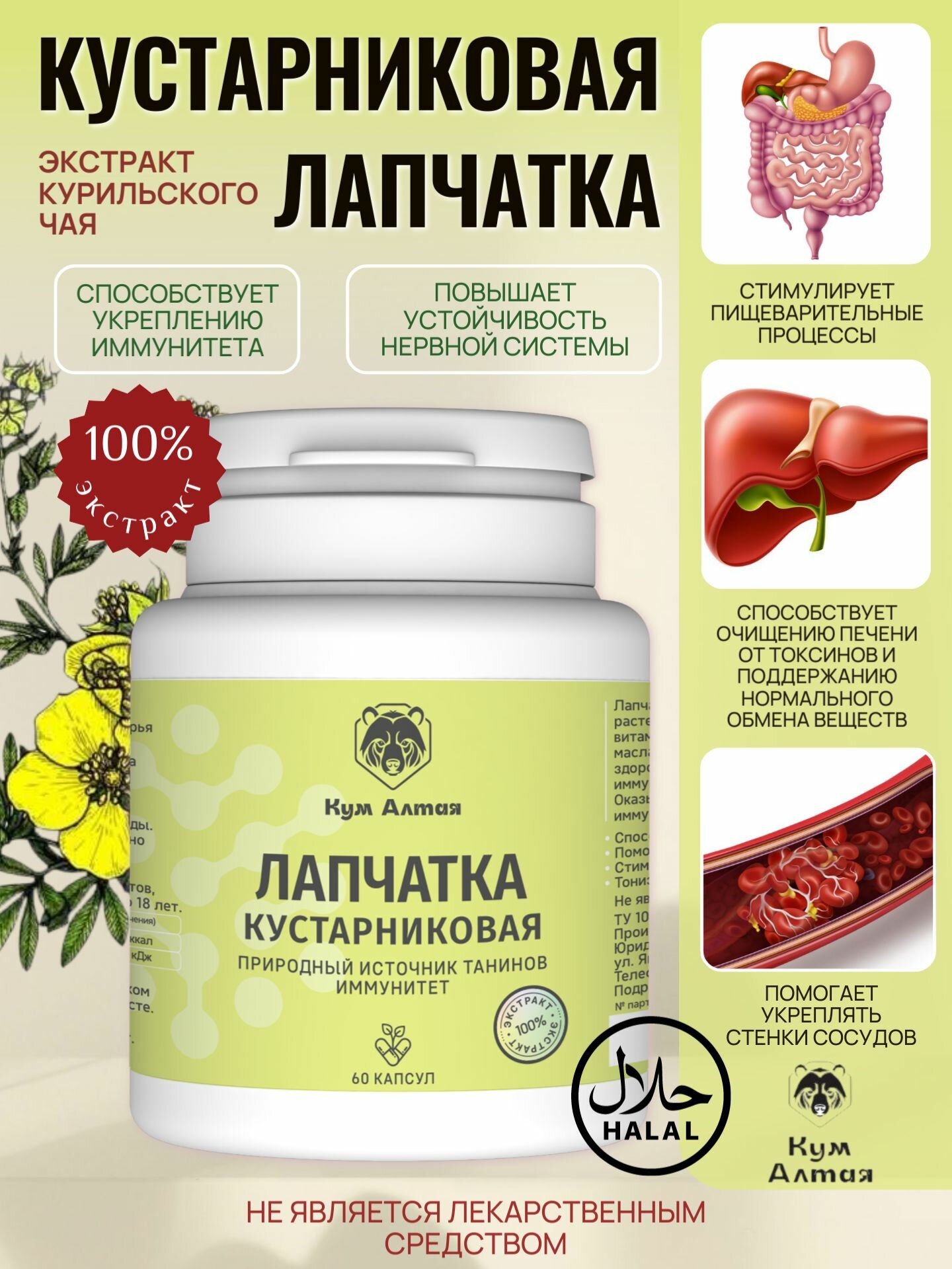 Лапчатка кустарниковая (экстракт курильского чая) КумАлтая, 60 капсул