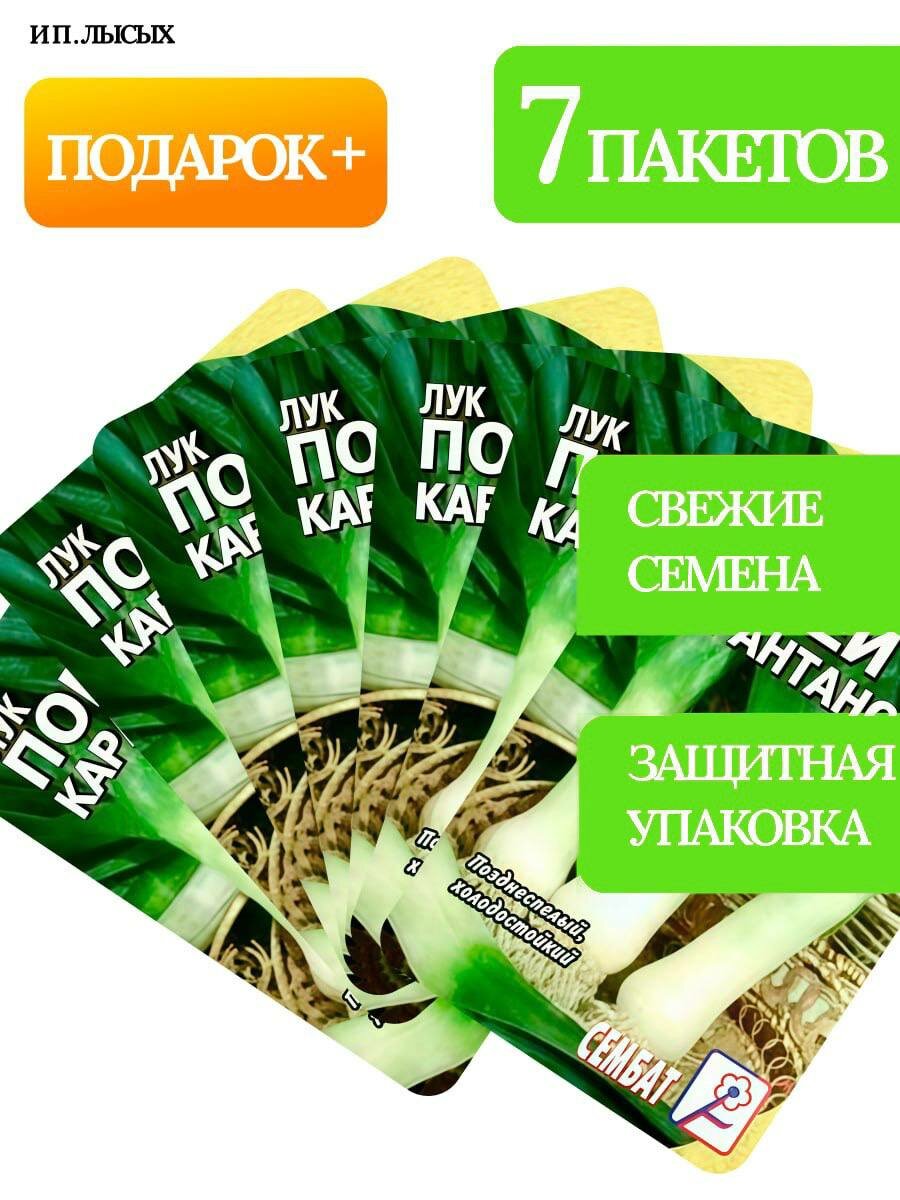 Семена Лук Порей "Карантанский"