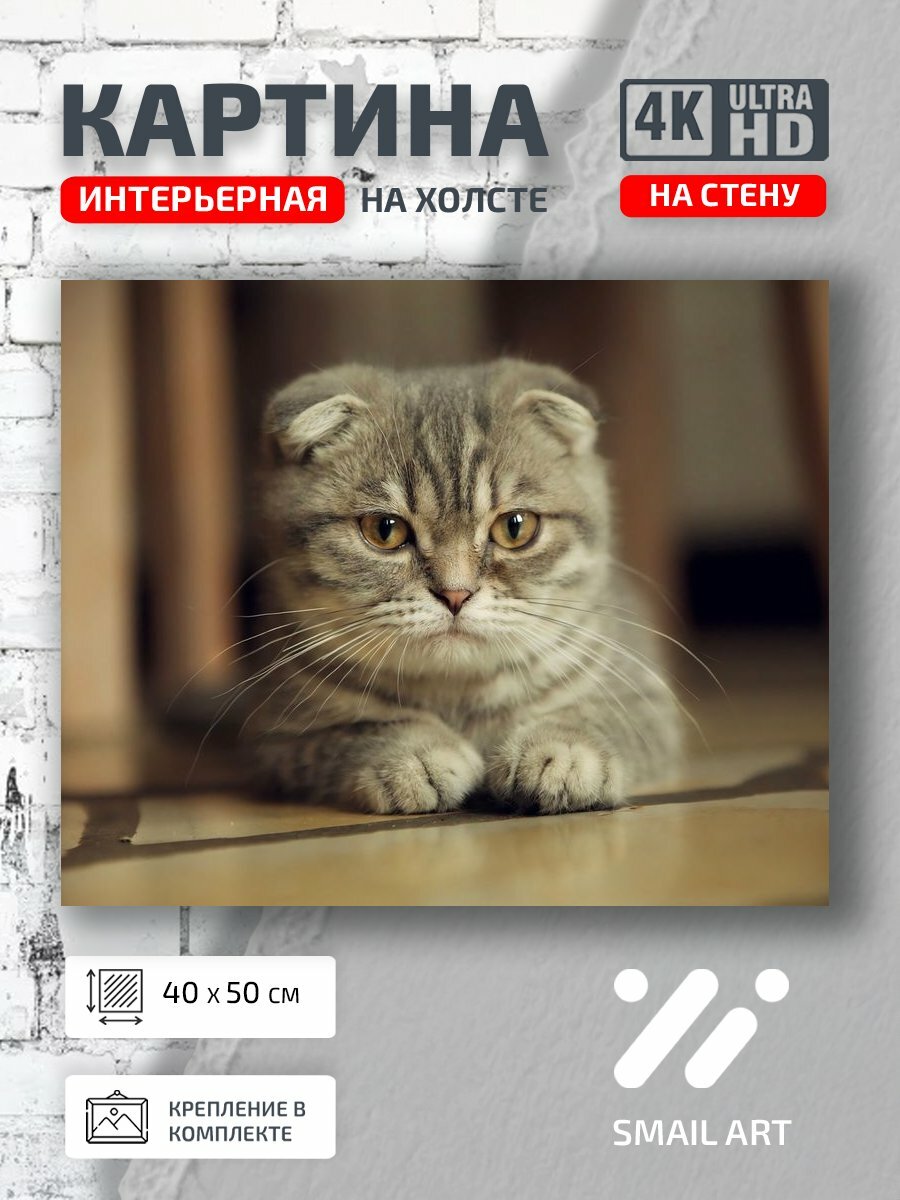 Картина на холсте интерьерная 40 на 50 на стену Лапки Animal для детской animal style декор