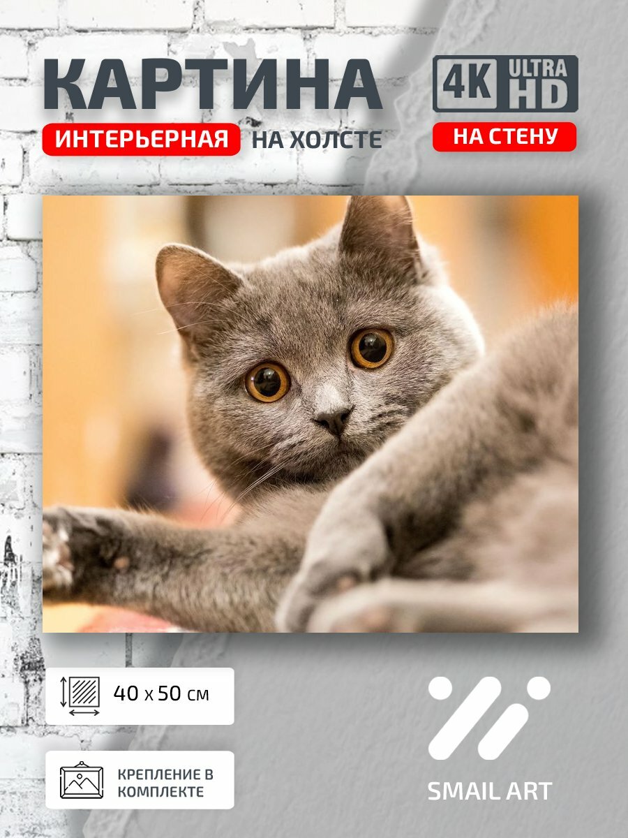 Картина на холсте интерьерная 40 на 50 на стену Шерсть Animal для кабинета animal style