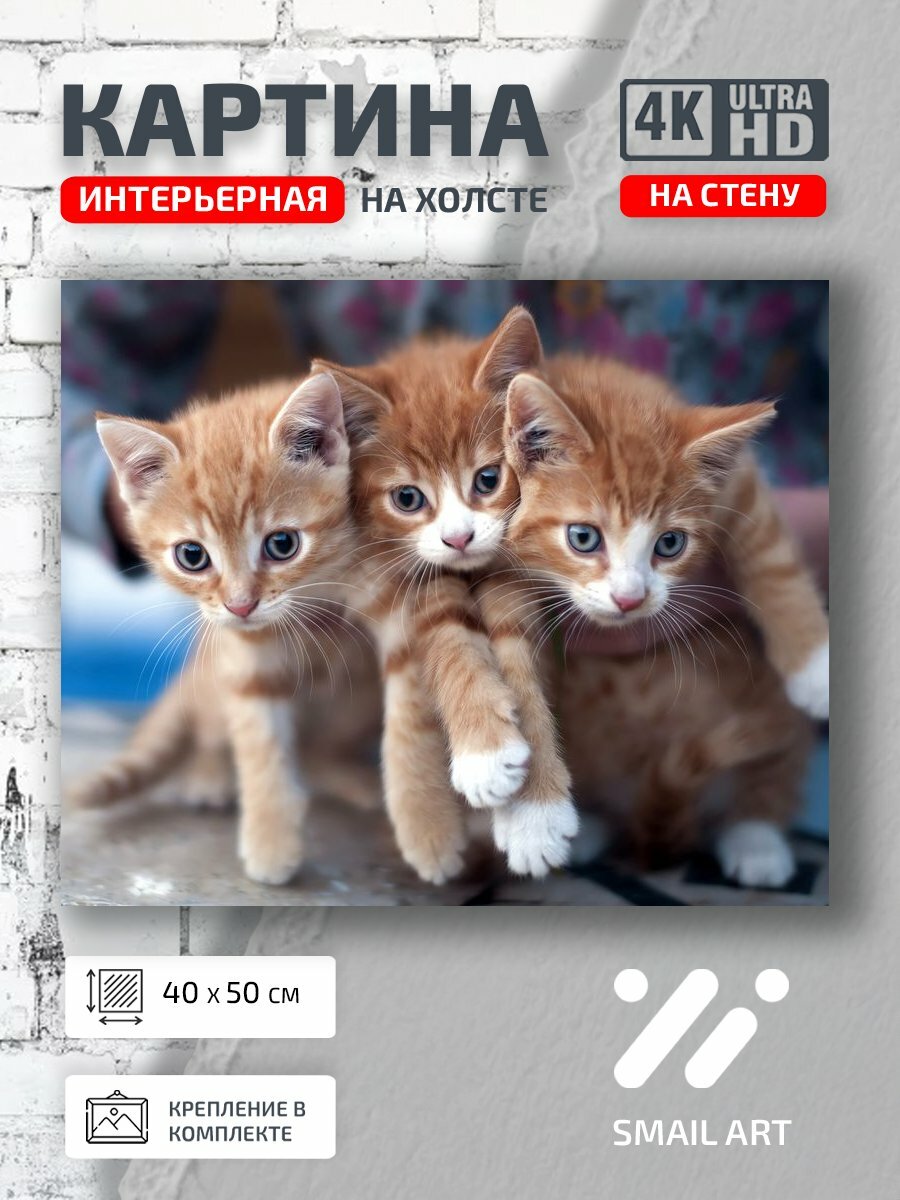 Картина на холсте интерьерная 40 на 50 на стену Котята Landscape для кабинета пейзаж декор