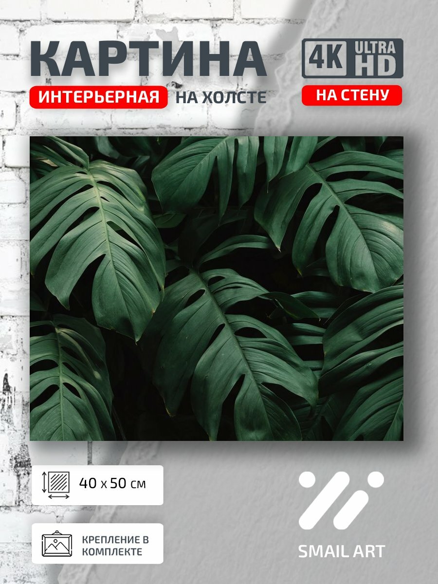 Картина на холсте интерьерная 40 на 50 на стену Тропический Landscape для кафе пейзаж декор