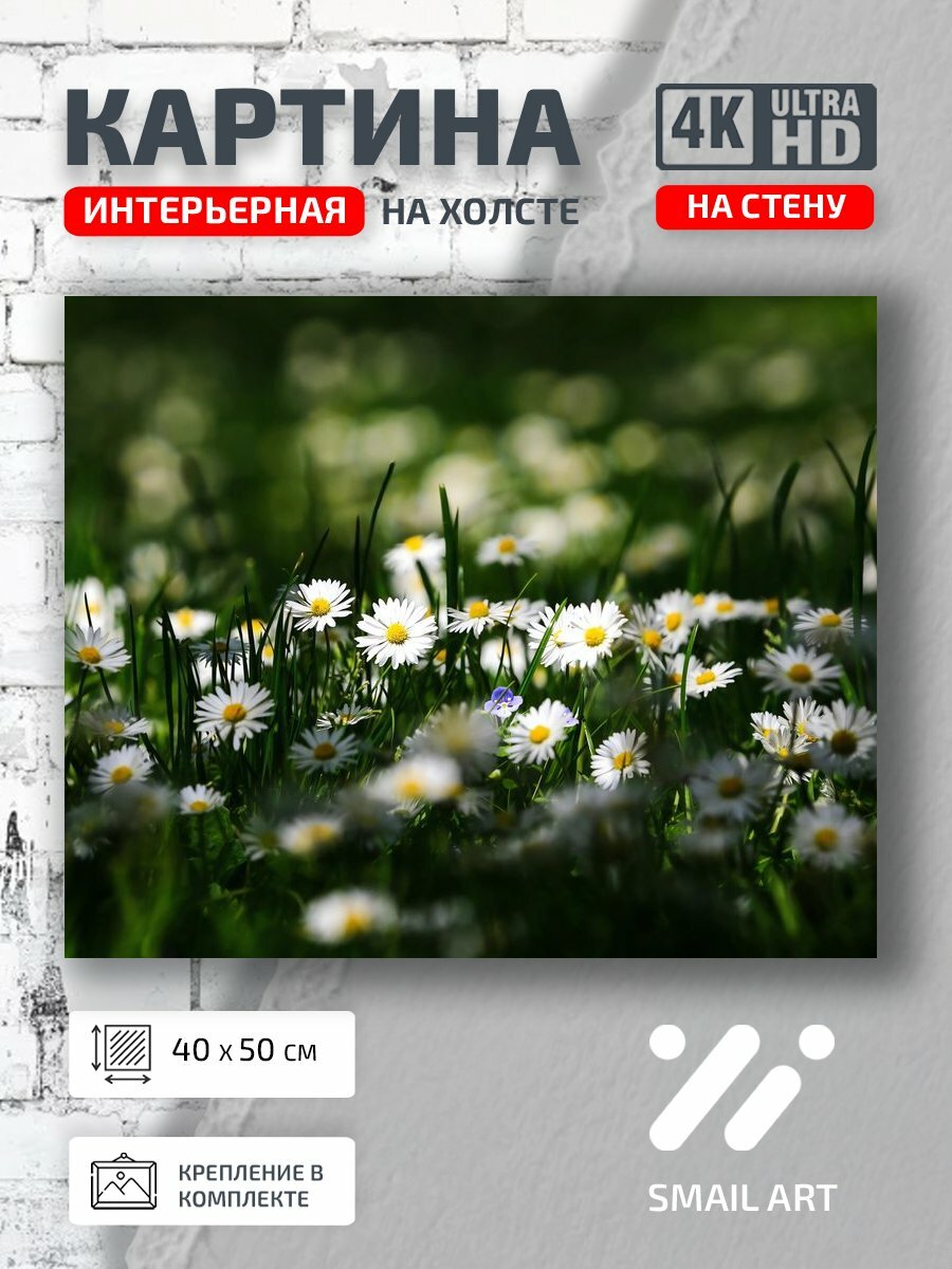 Картина на холсте интерьерная 40 на 50 на стену Трава Landscape для спальни пейзаж интерьер