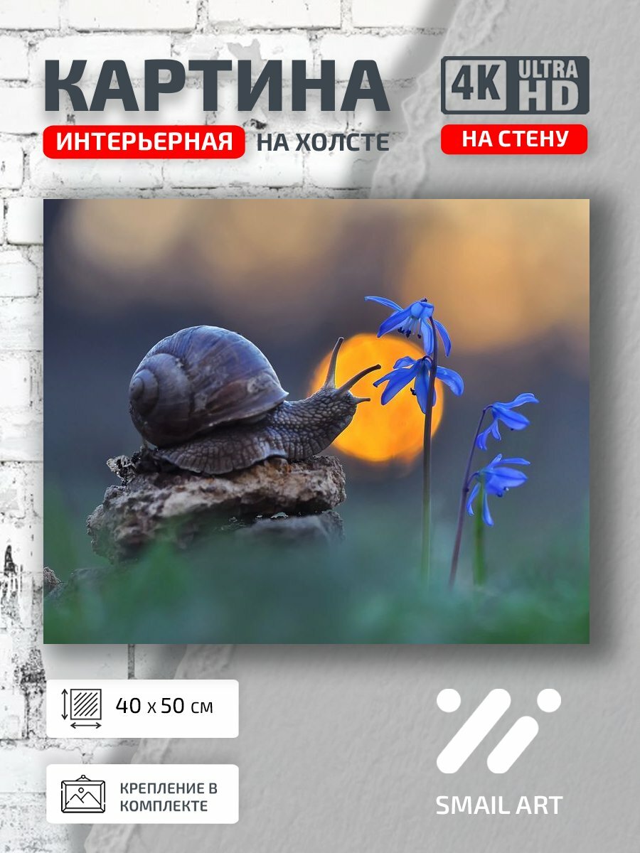 Картина на холсте интерьерная 40 на 50 на стену Колокольчики Macro для гостиной макро декор