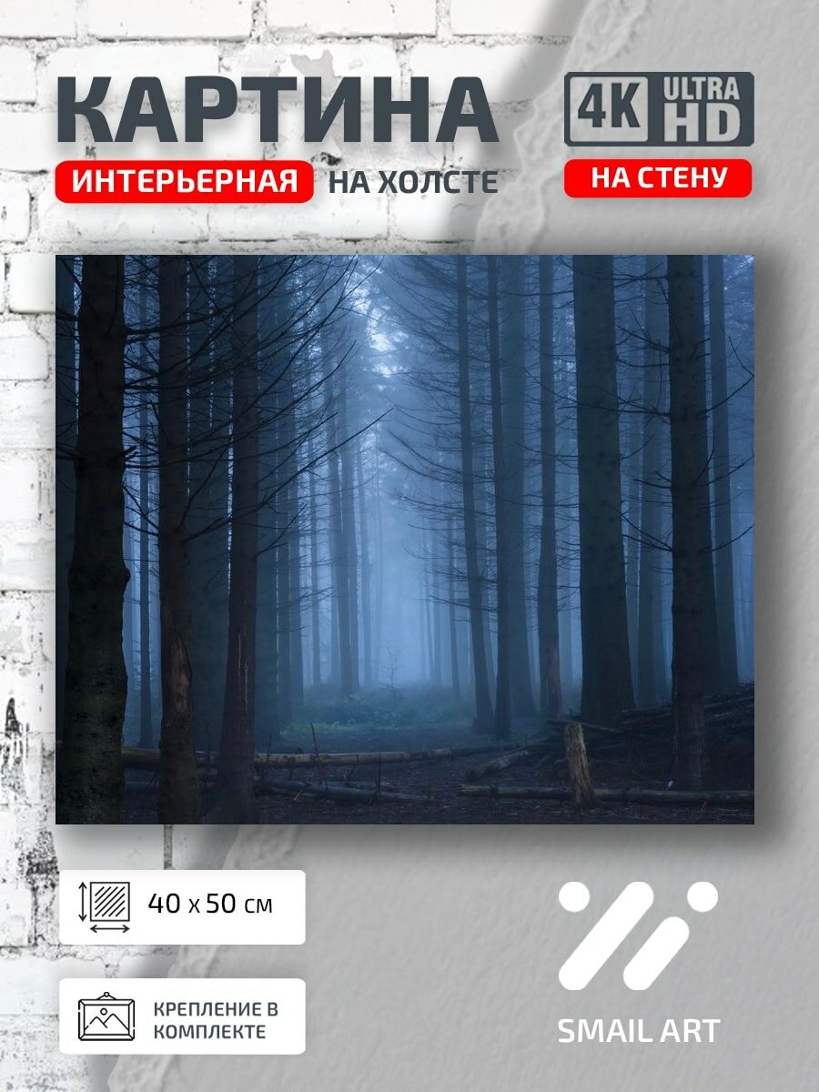 Картина на холсте интерьерная 40 на 50 на стену Природа Лес для офиса пейзаж