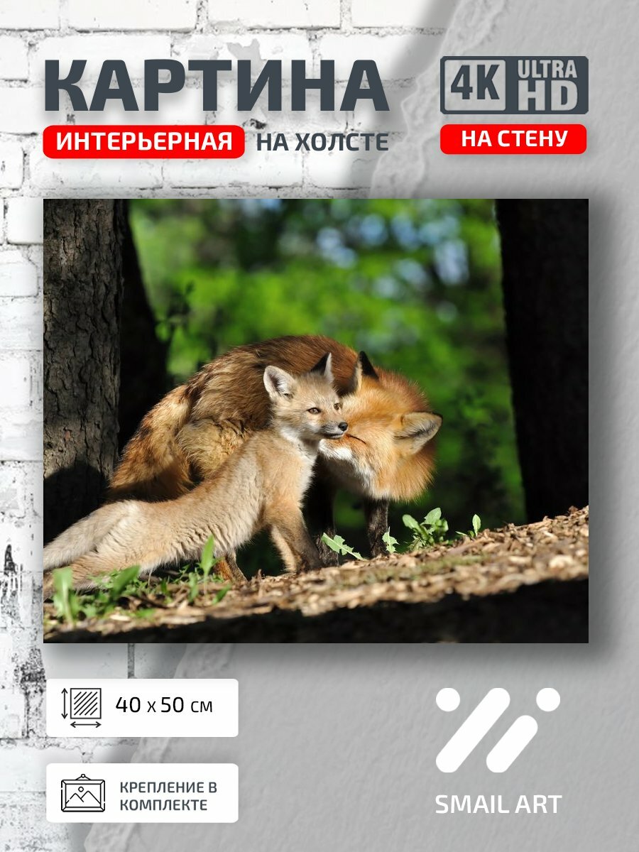 Картина на холсте интерьерная 40 на 50 на стену Лисой Mood для кабинета атмосфера интерьер
