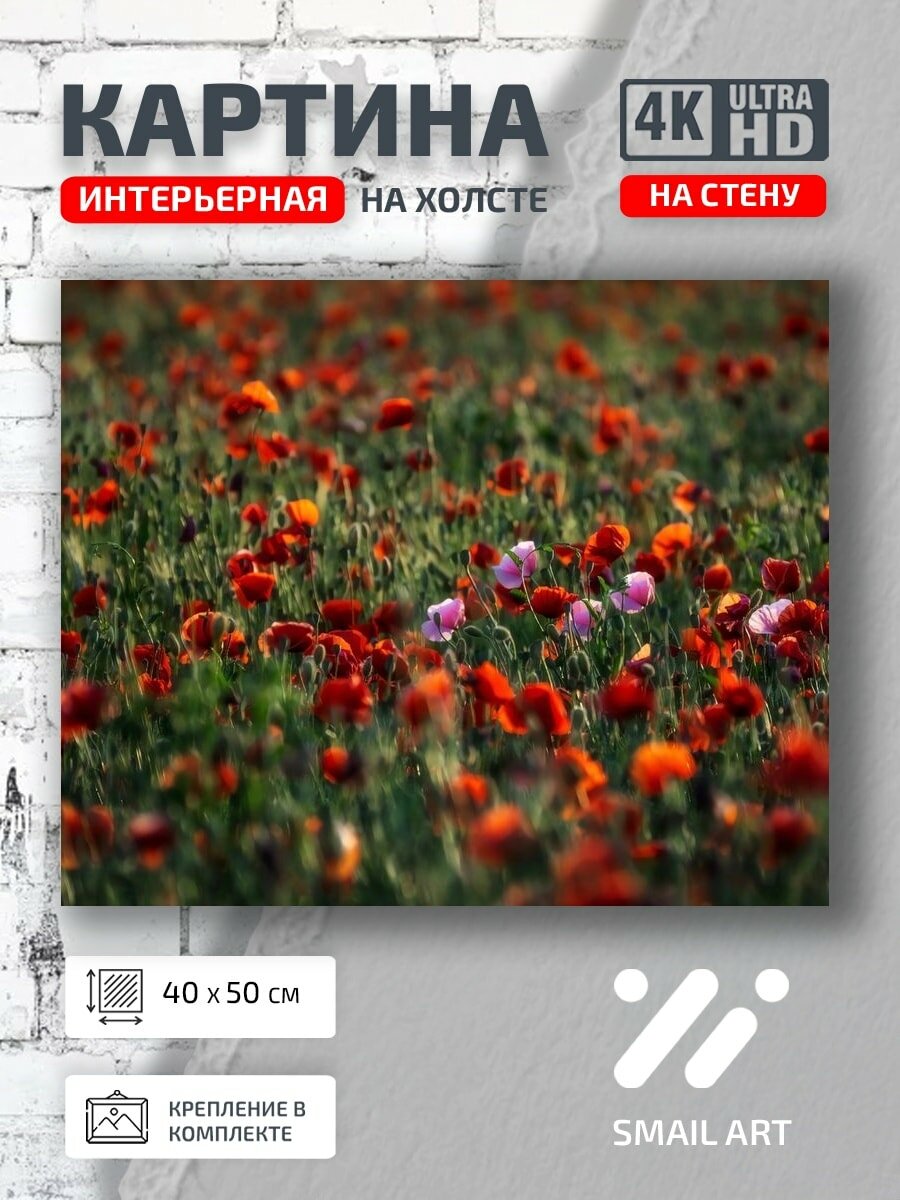 Картина на холсте интерьерная 40 на 50 на стену маковое поле для кабинета пейзаж