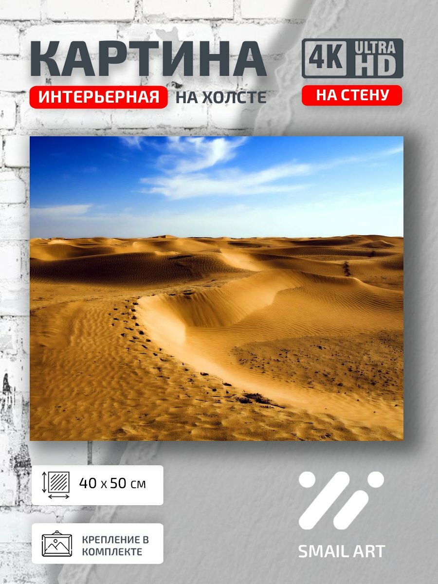 Картина на холсте интерьерная 40 на 50 на стену Пустыне Landscape для гостиной пейзаж декор
