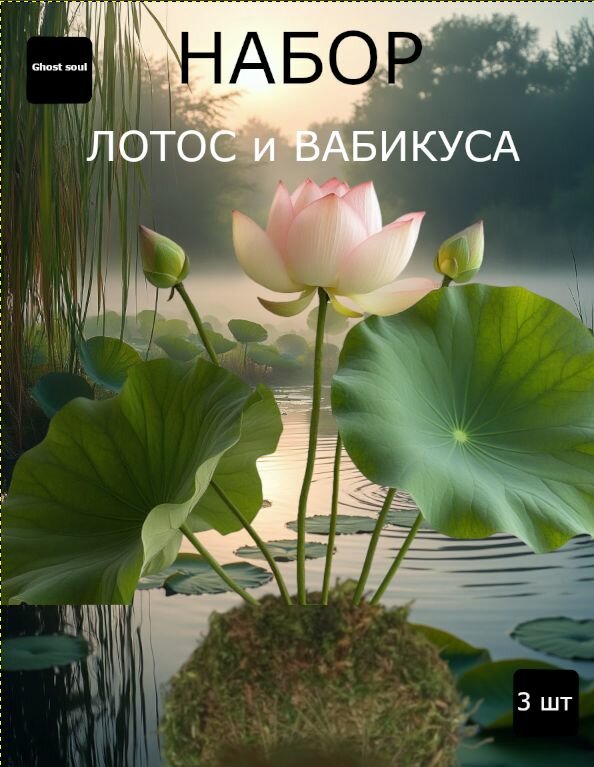 Набор ваби-куса 3шт и 6 шт семян лотоса , питательная кочка для аквариумных растений